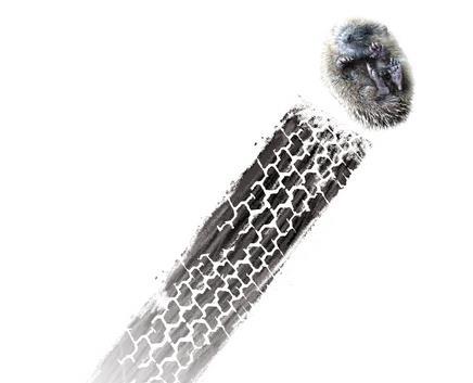 How Erinaceous was stopped in its tracks | News | Building