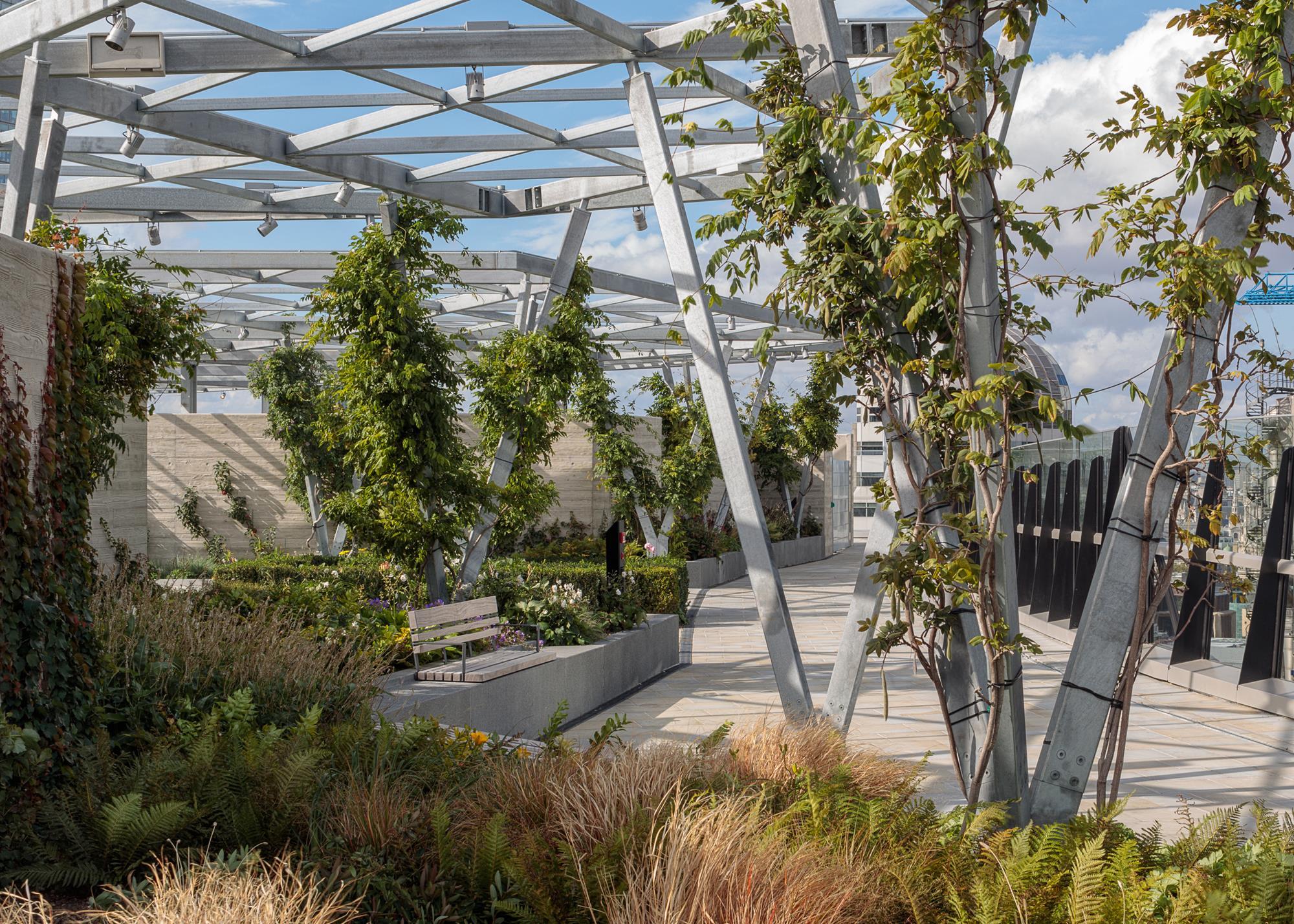 In pictures: Roof garden opens at McAlpine City office | News | Building