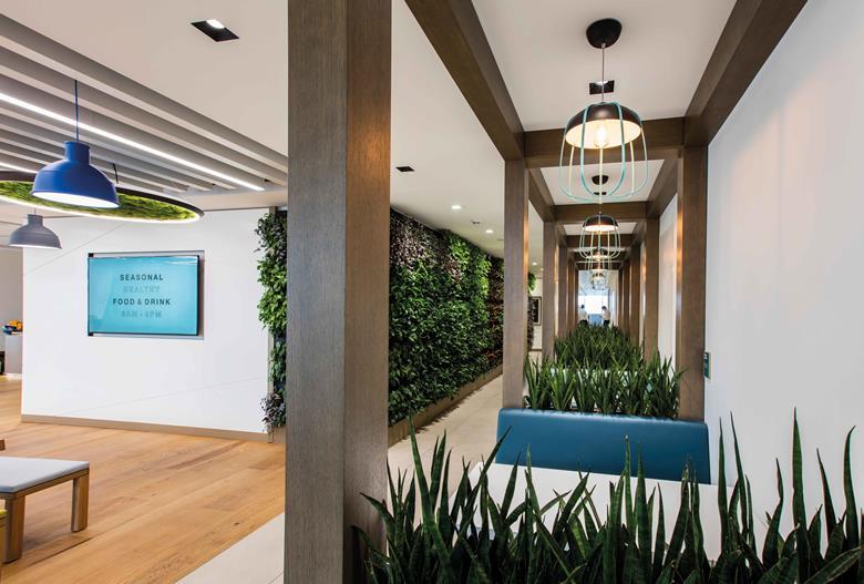 Sustainability: The WELL Standard | Features | Building