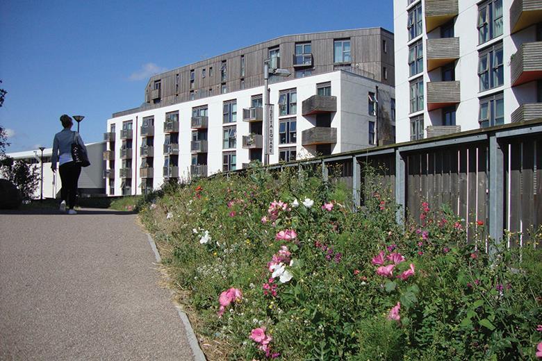 One Brighton: Five years on | Features | Building One Brighton: Five years on | Features | Building